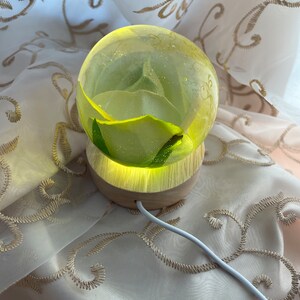 Lighted Flower Globes - Etsy