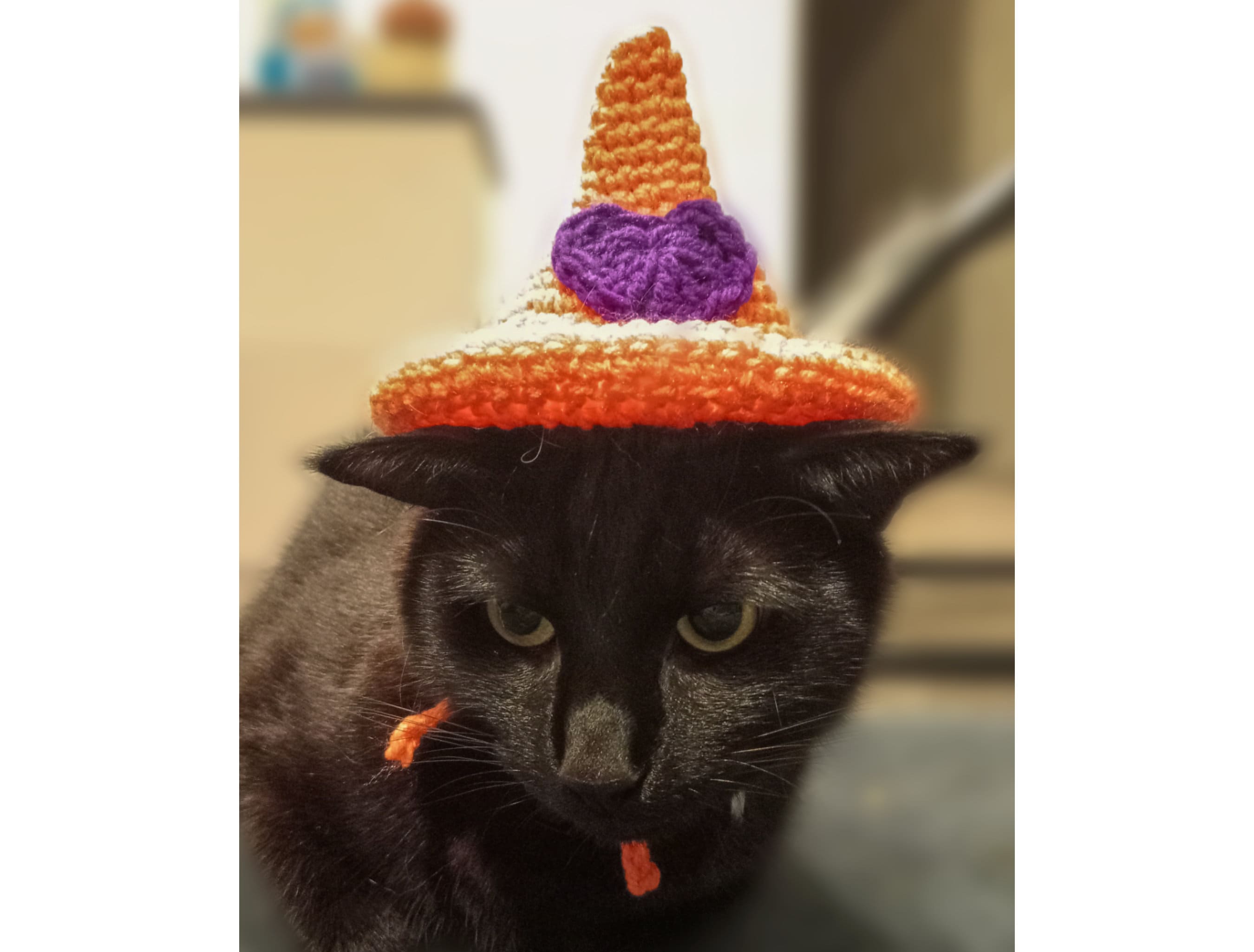 Cat Hat Crochet Pattern - Etsy