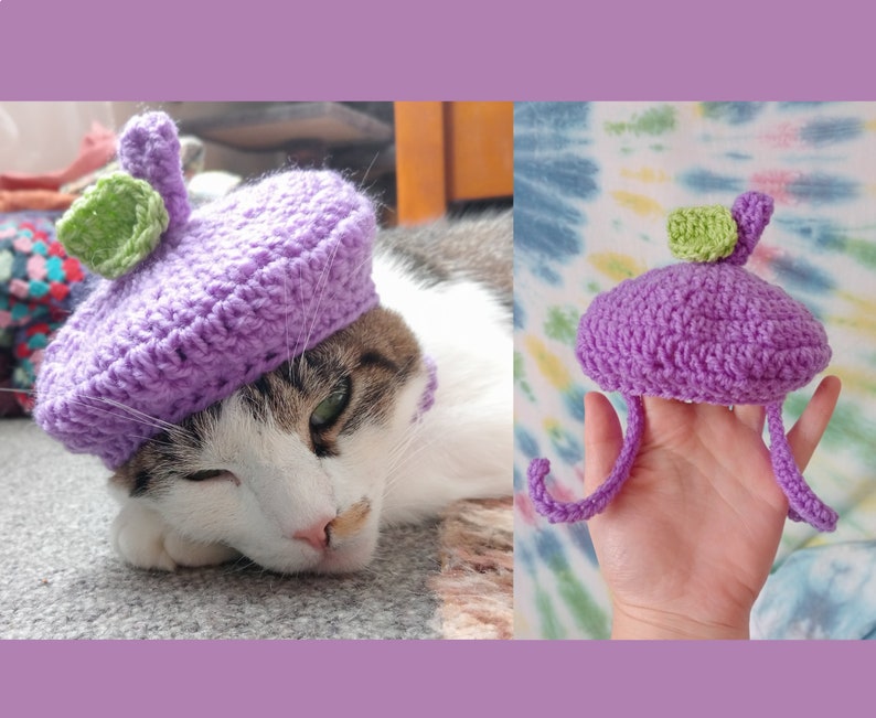 Crochet Cat Hat Pattern Beret - Etsy
