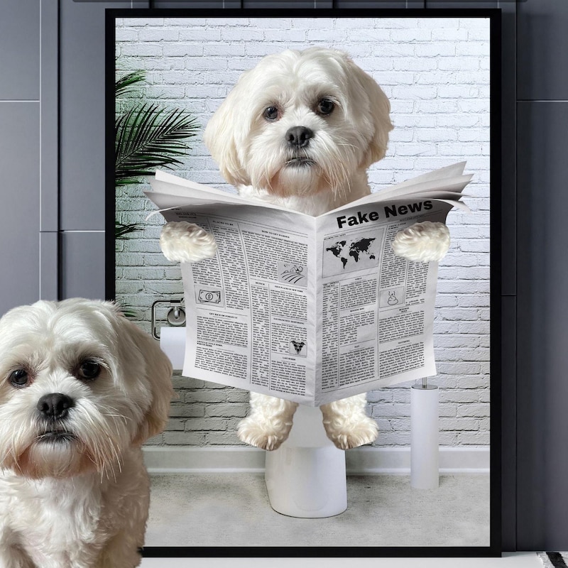 Dog Toilet Pics - Etsy UK