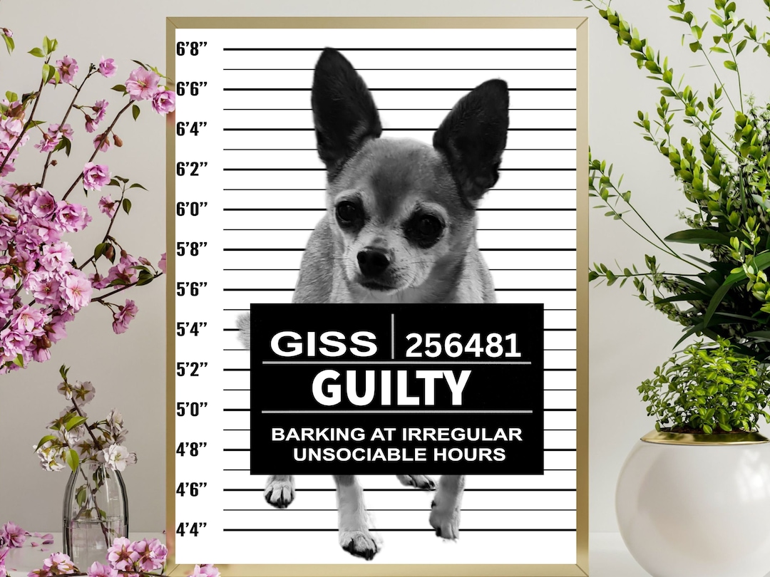 Guilty Dog Portrait, Custom Pet Mugshot, Thug Dog Portrait, Dog Mugshot ...
