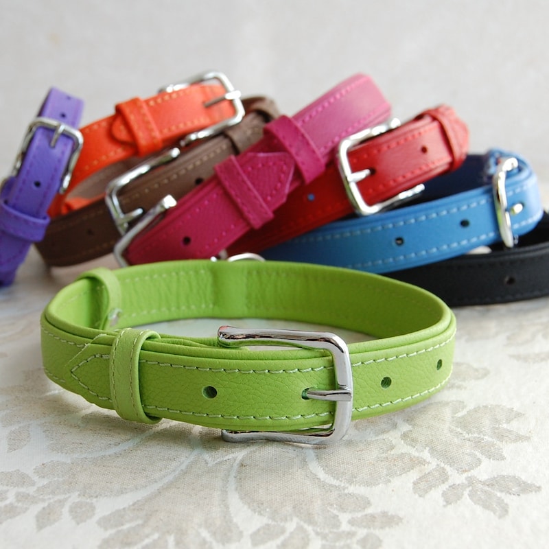 Green Dog Collar - Etsy