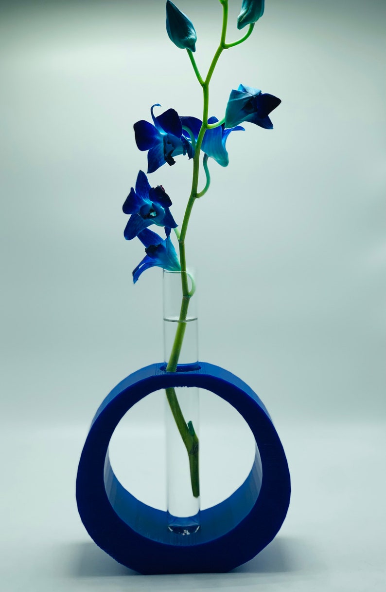 3D Printed Test Tube Bud Vase - Etsy