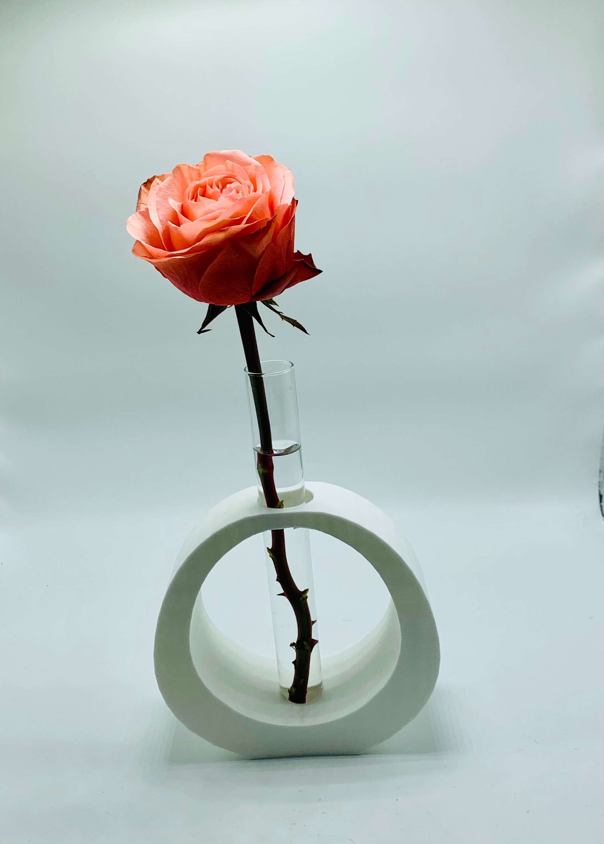 3D Printed Test Tube Bud Vase - Etsy