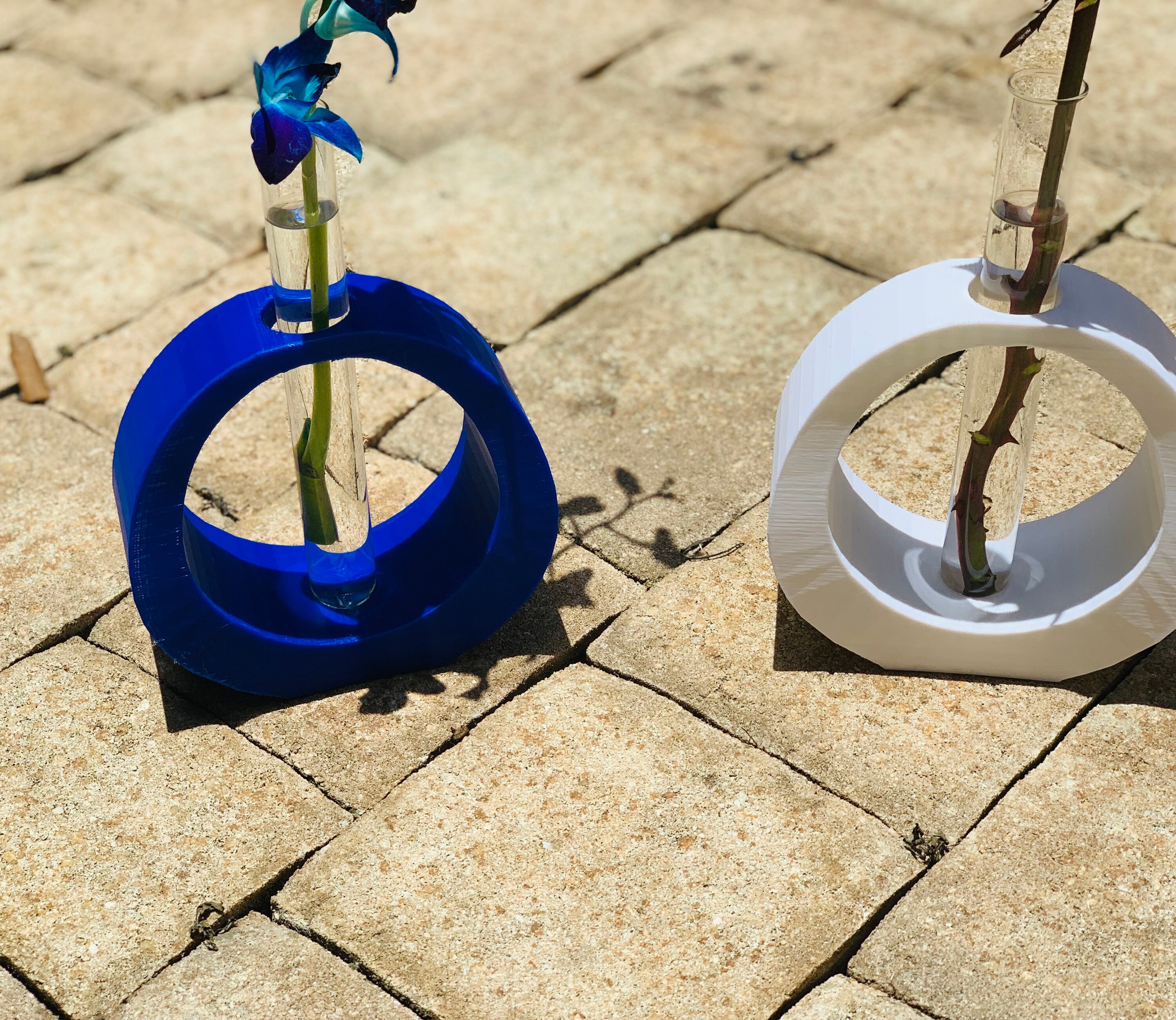 3D Printed Test Tube Bud Vase - Etsy