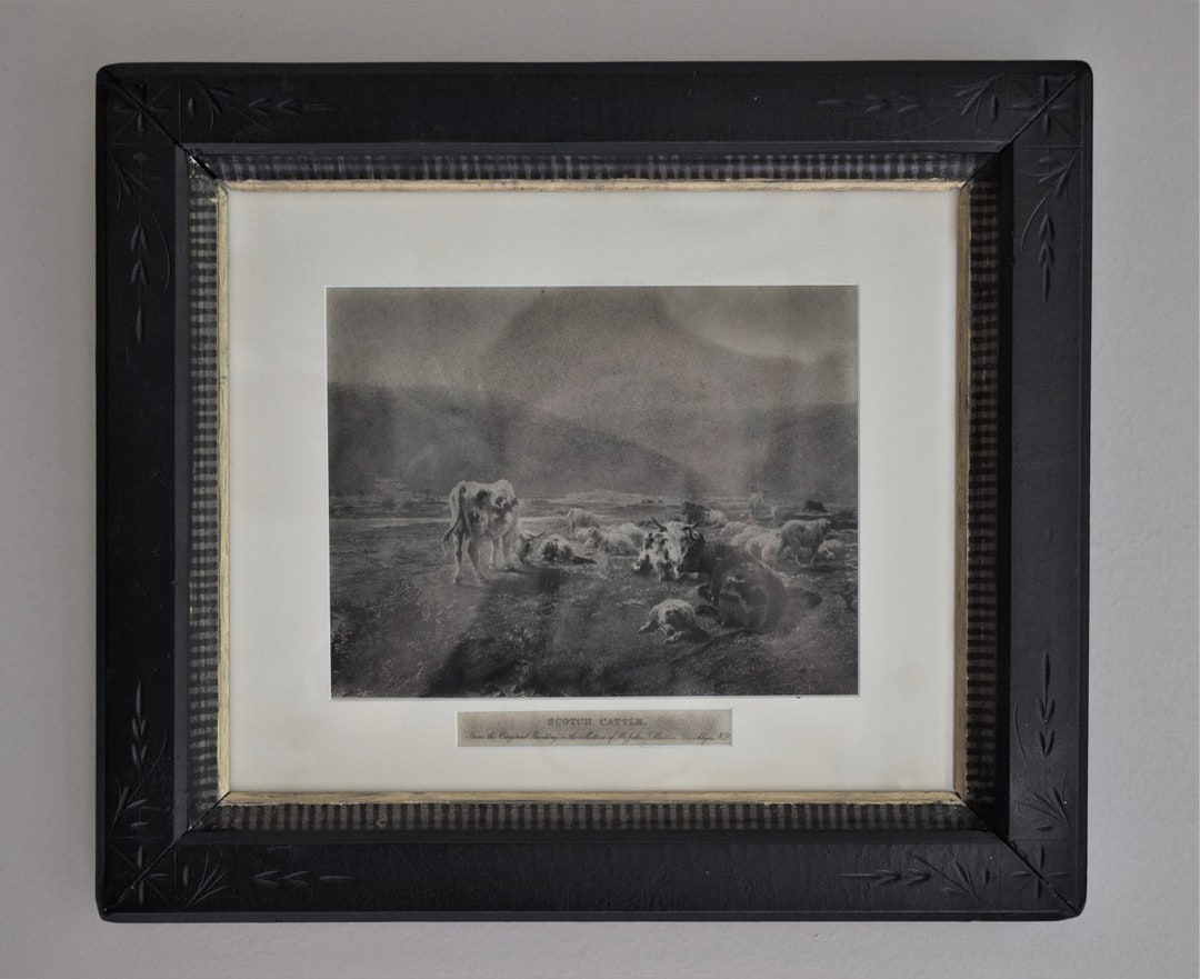 Rosa Bonheur Engraving "scotch Cattle" in Antique Carved Black Wood ...