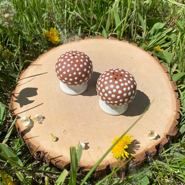 Mushroom Shaker - Etsy
