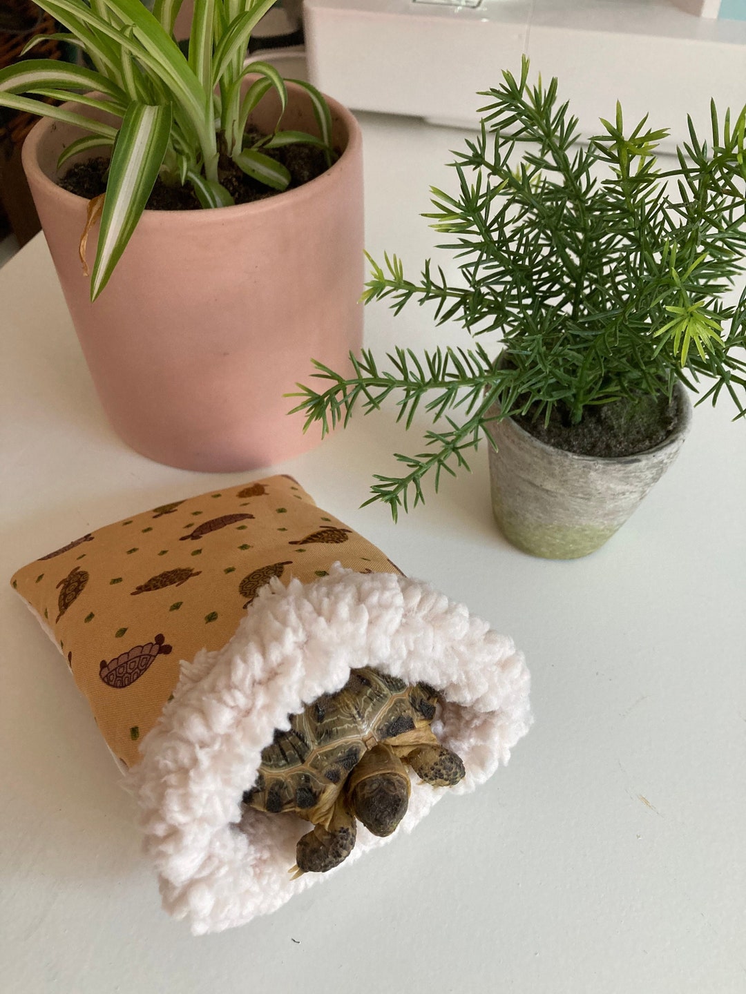 Handmade Tortoise Cuddle Sack / Sleeping Bag - Etsy