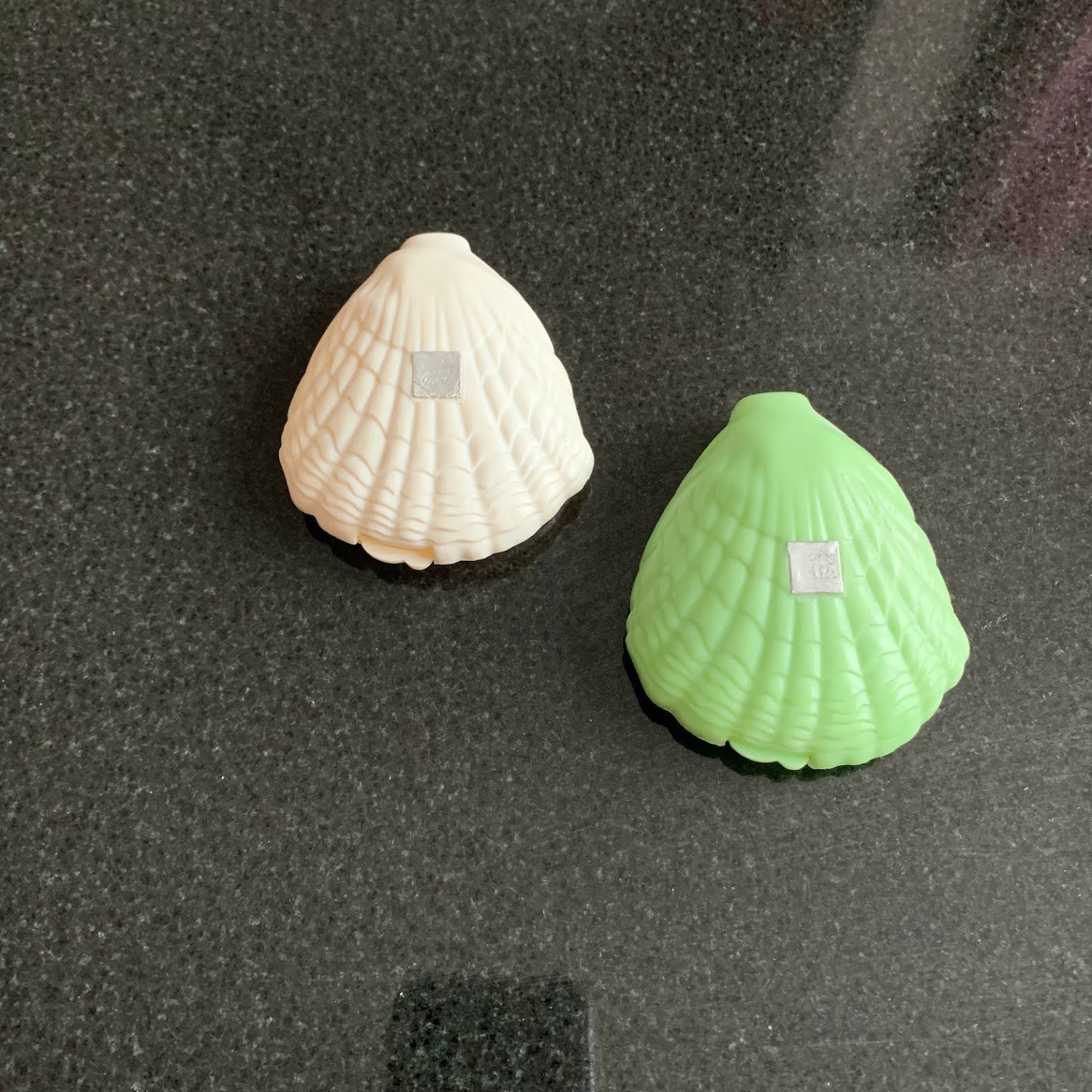 Empty Shell Case - Etsy