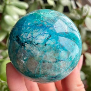 Natural Uncommon 'phoenix Stone' (chrysocolla, Malachite, Shattuckite ...