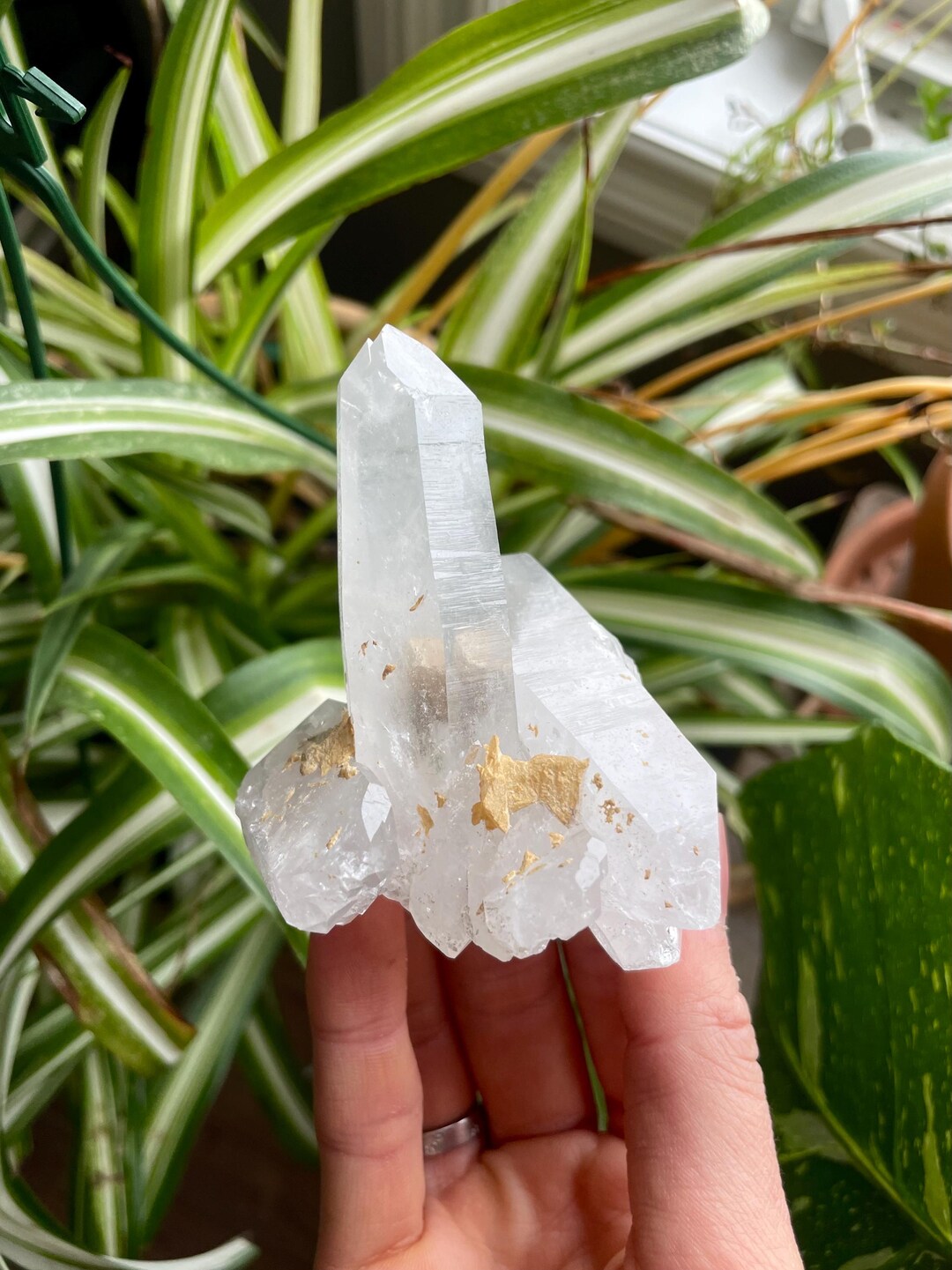 Himalayan Quartz Cluster From the Karakoram Range - Etsy