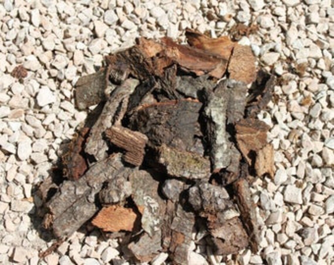 Tree Bark, Mini Bark Pieces, Forest, Craft Material, Creative, Natural ...