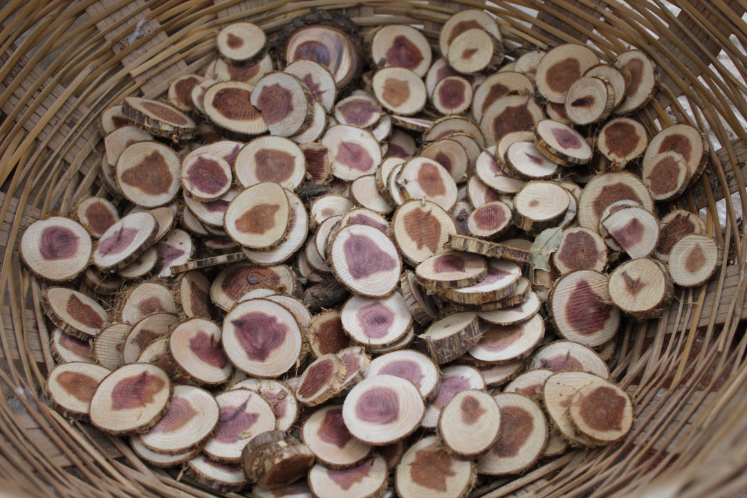 Assorted Natural Cedar Slices, Live Edge Bark Tree Branch Bulk ...