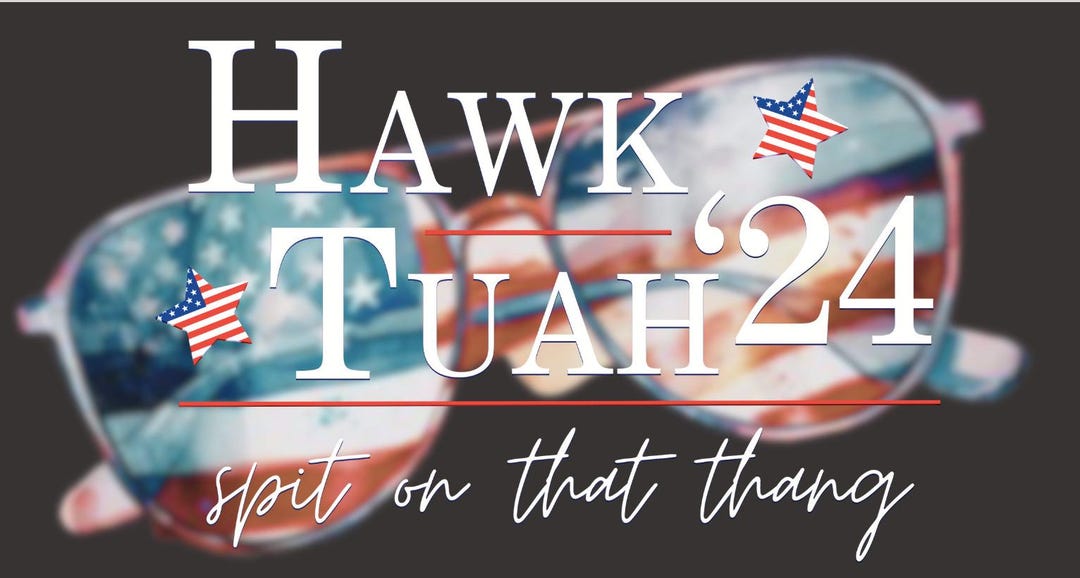 Hawk Tuah 24' License Plate - Etsy