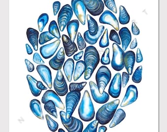 Newfoundland "shore Mussels" Watercolour Painting Fine Art Print - New ...