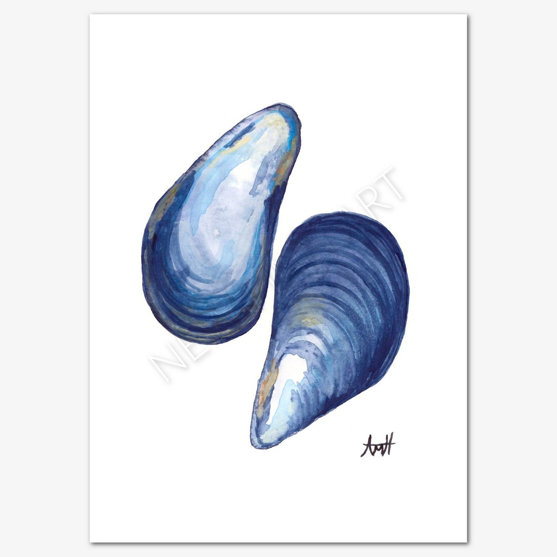 Newfoundland new Mussels Watercolour Painting Fine Art Print New Finn ...