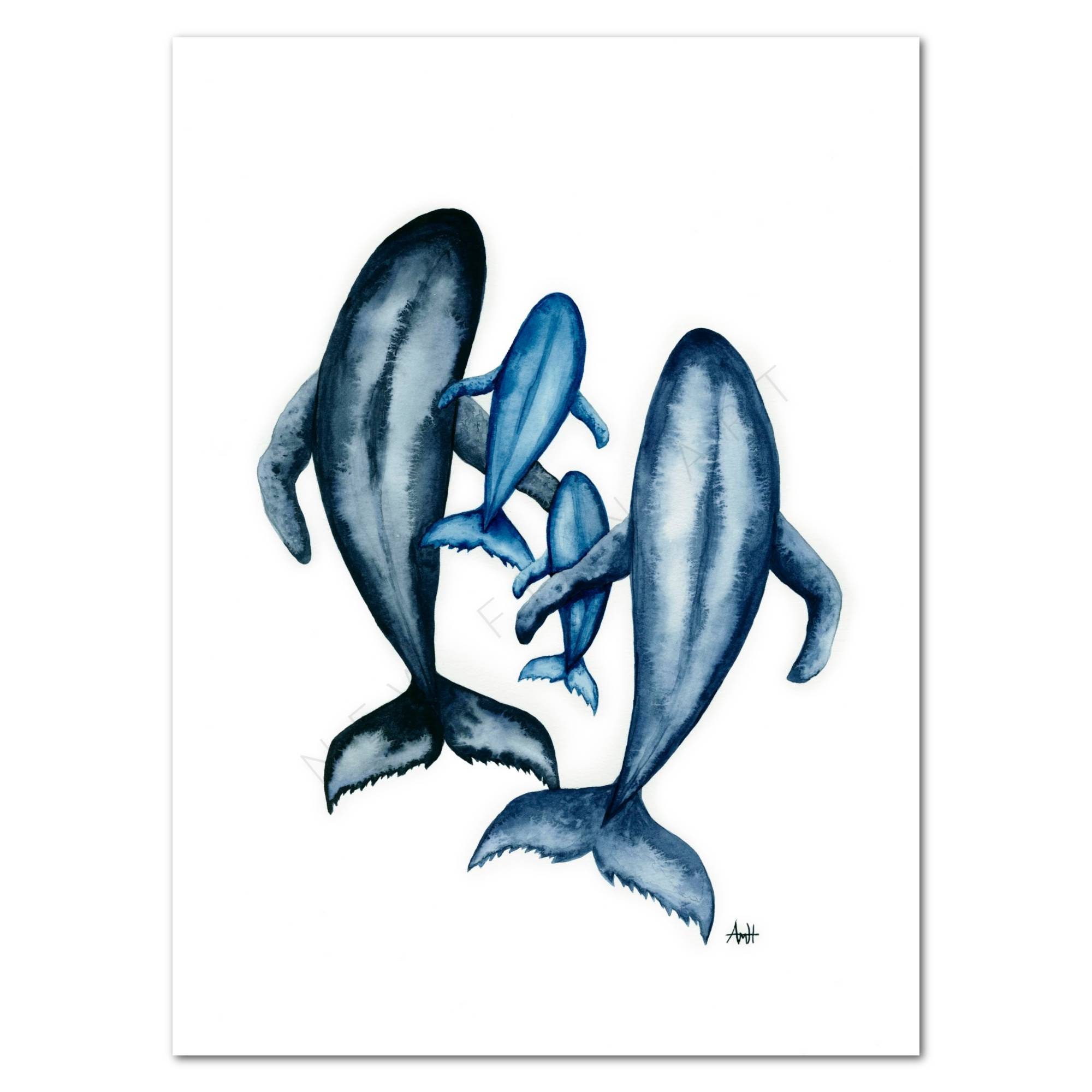 Newfoundland Whale Family of Four Watercolour Painting Print - "all ...