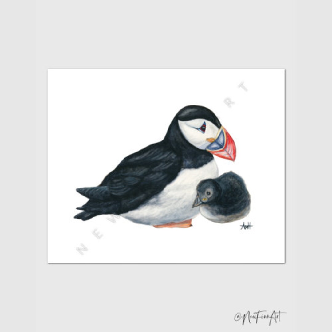 Atlantic Puffin and Puffling- Newfoundland "puffling Love" - Etsy
