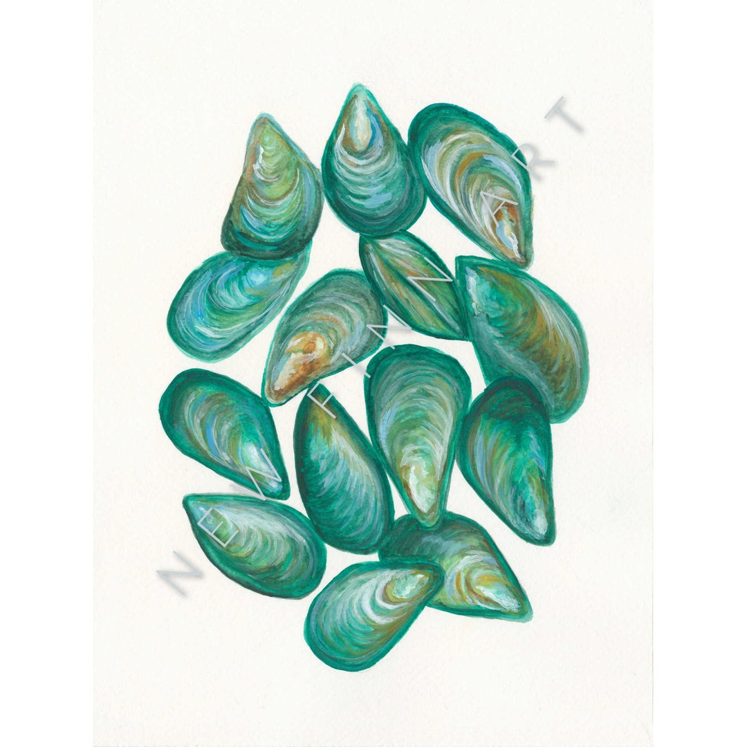Newfoundland Green Ocean Mussels - Watercolour Painting - Print - Etsy