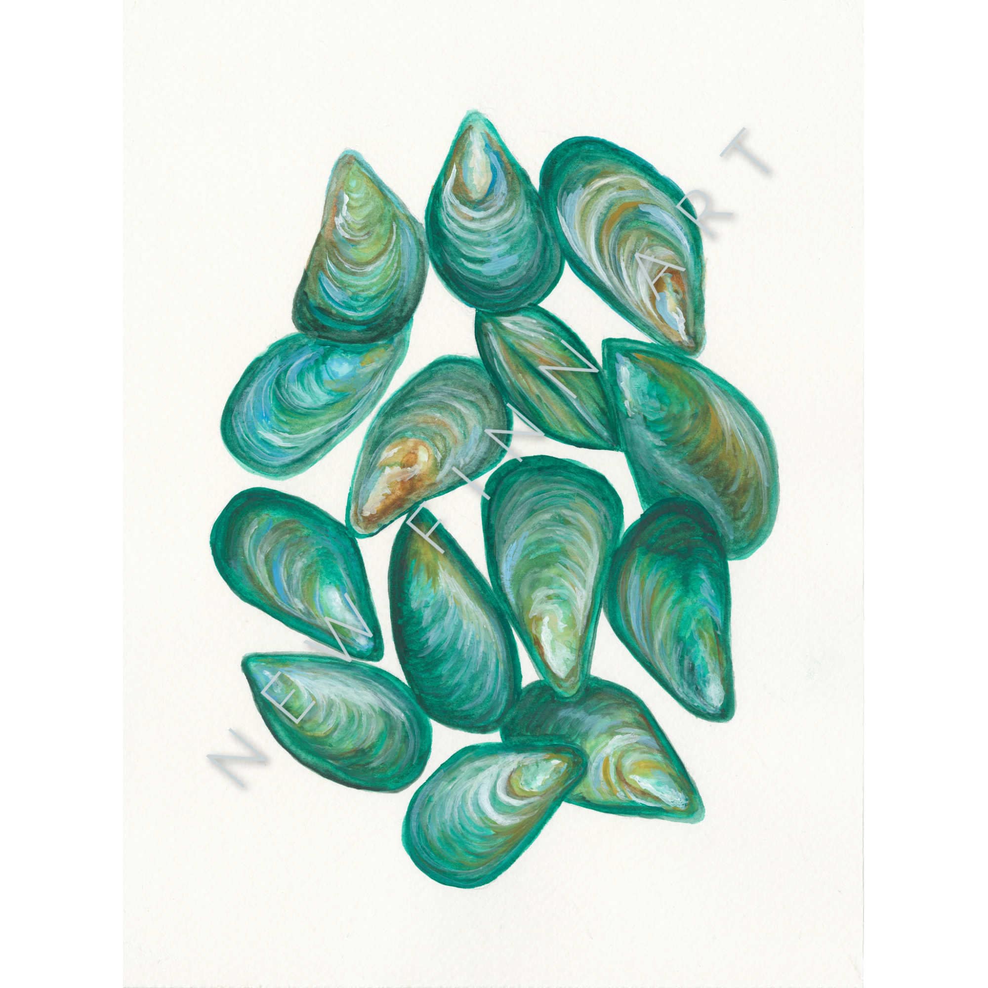 Newfoundland Green Ocean Mussels - Watercolour Painting - Print - Etsy