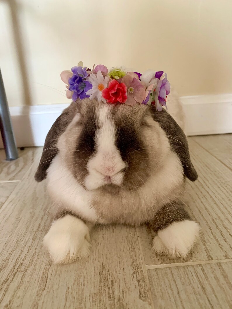 Summertime Sunset Flower Crown for Pet Women and Child | Etsy