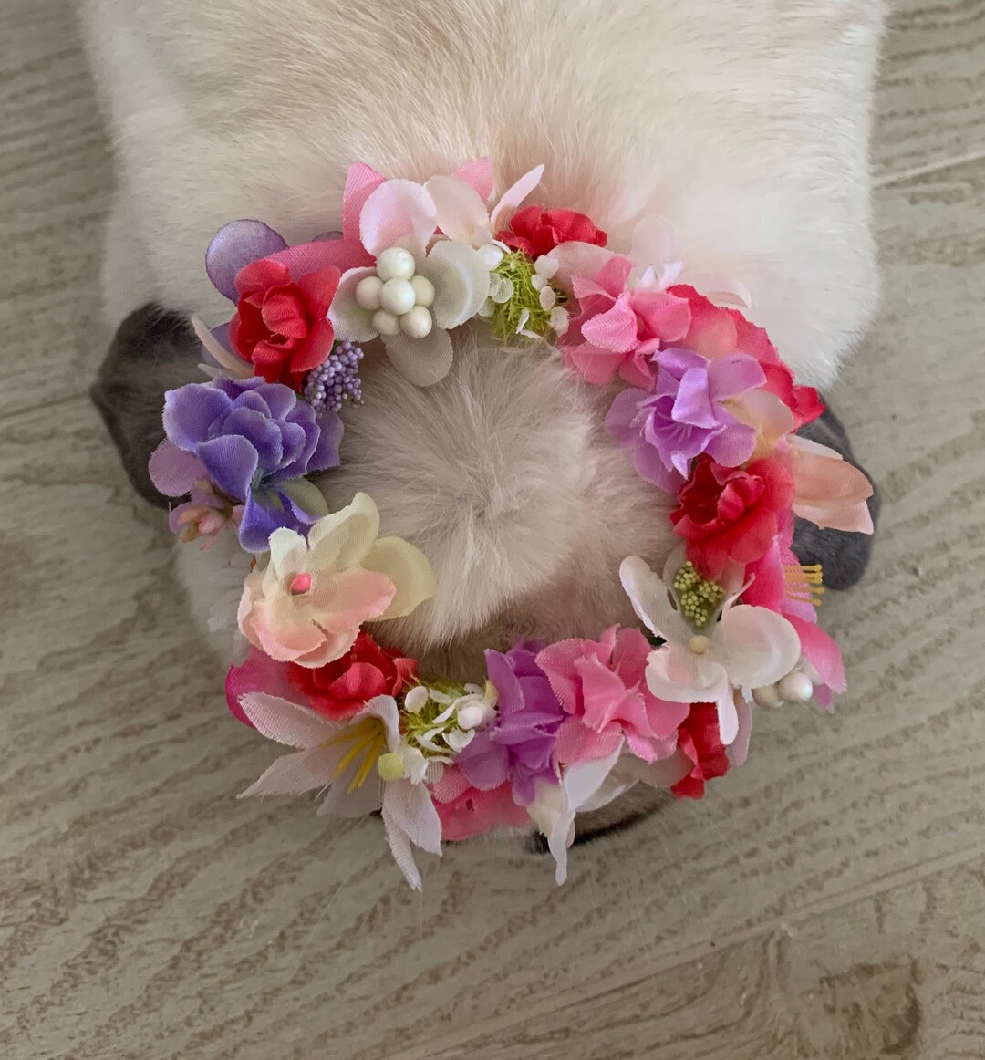 Summertime Sunset Flower Crown for Pet, Women and Child - Etsy