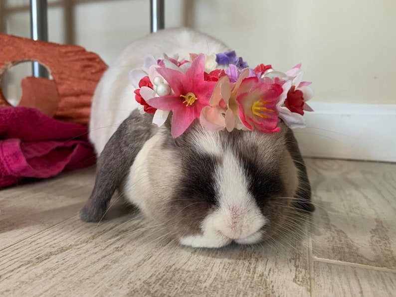 Summertime Sunset Flower Crown for Pet Women and Child | Etsy