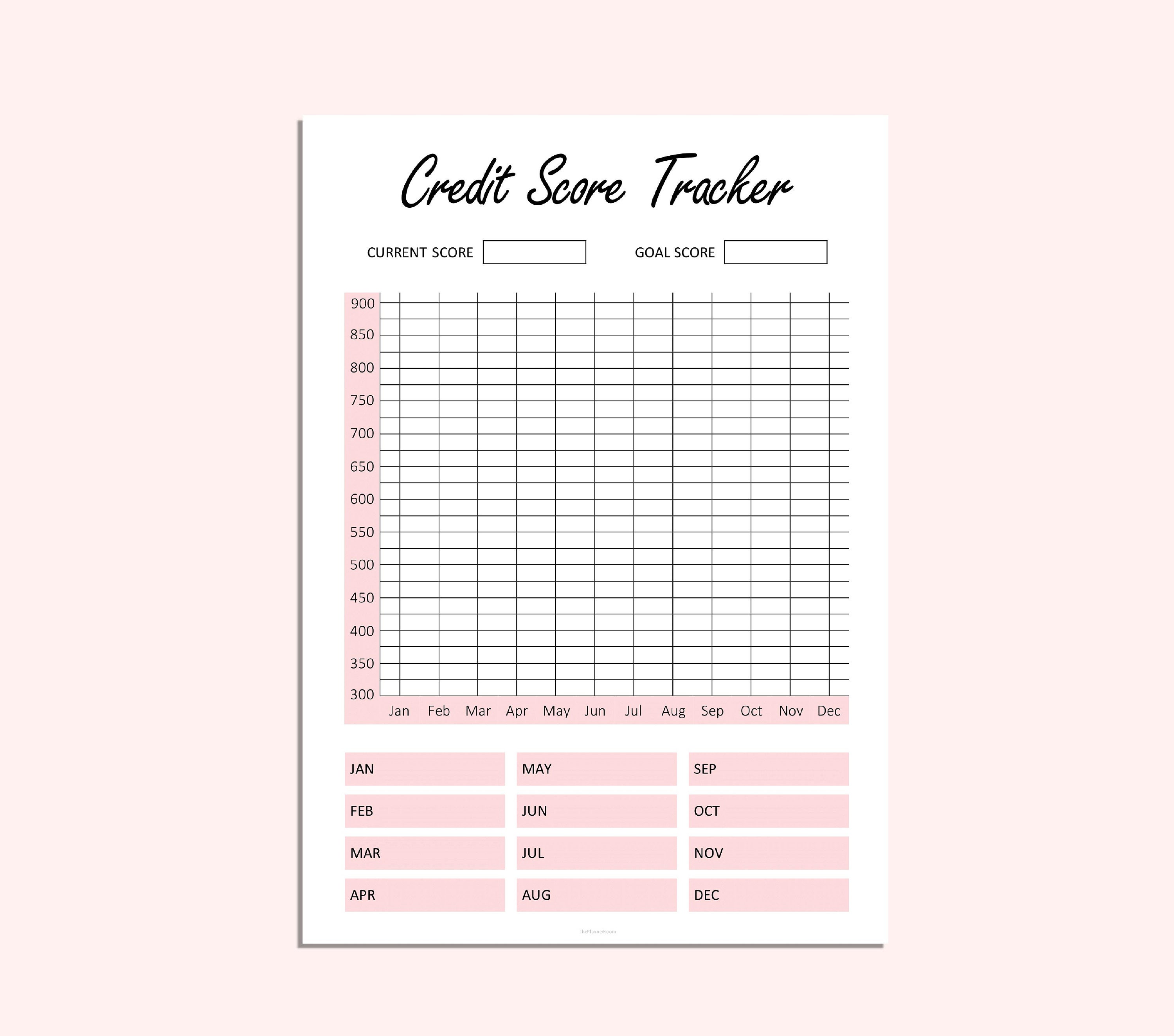 CREDIT Score Tracker Printable - Credit Repair - Planner Insert - PDF ...