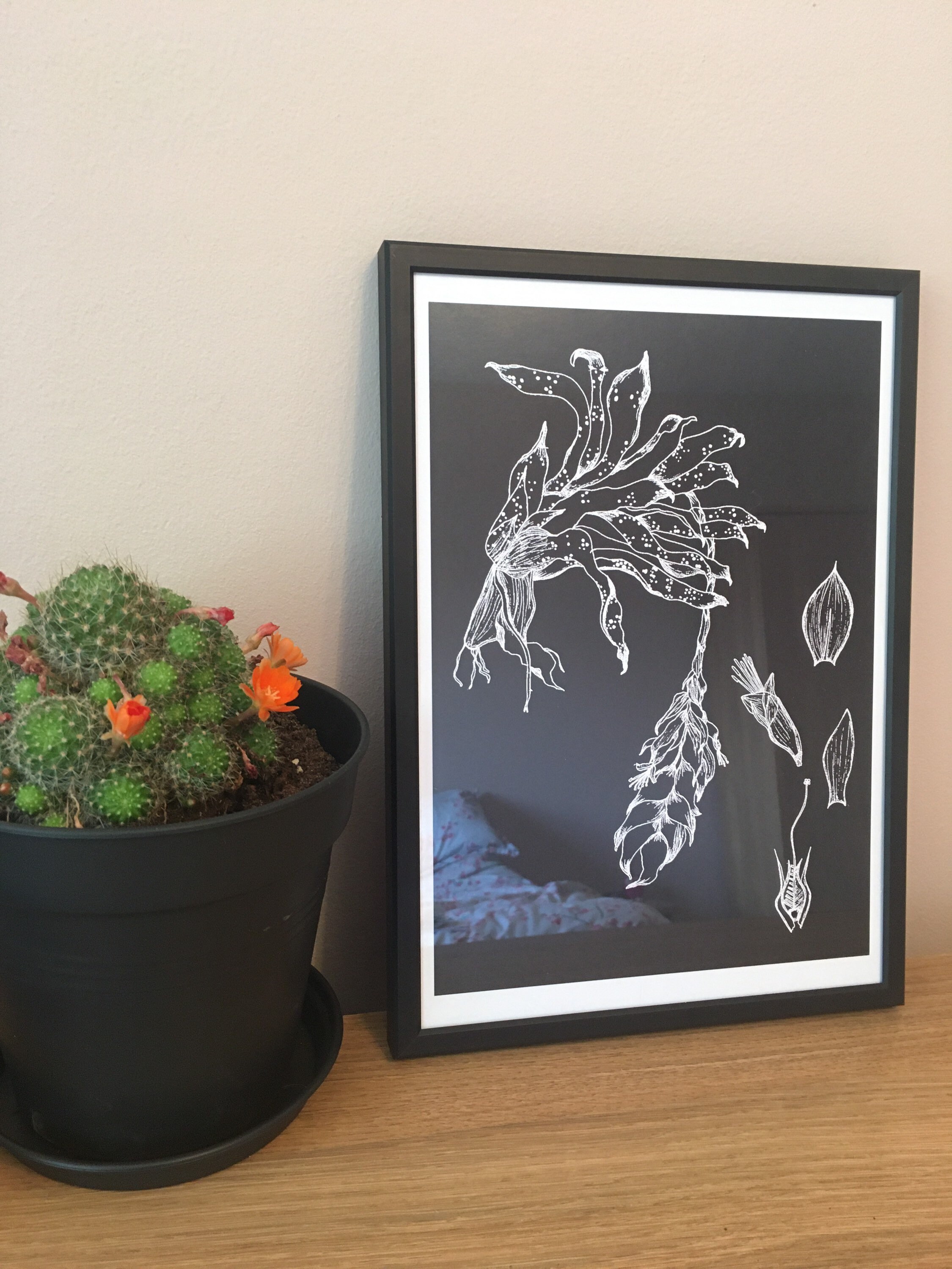 Bromeliad Print Art Drawing Lines Floral Tropical - Etsy