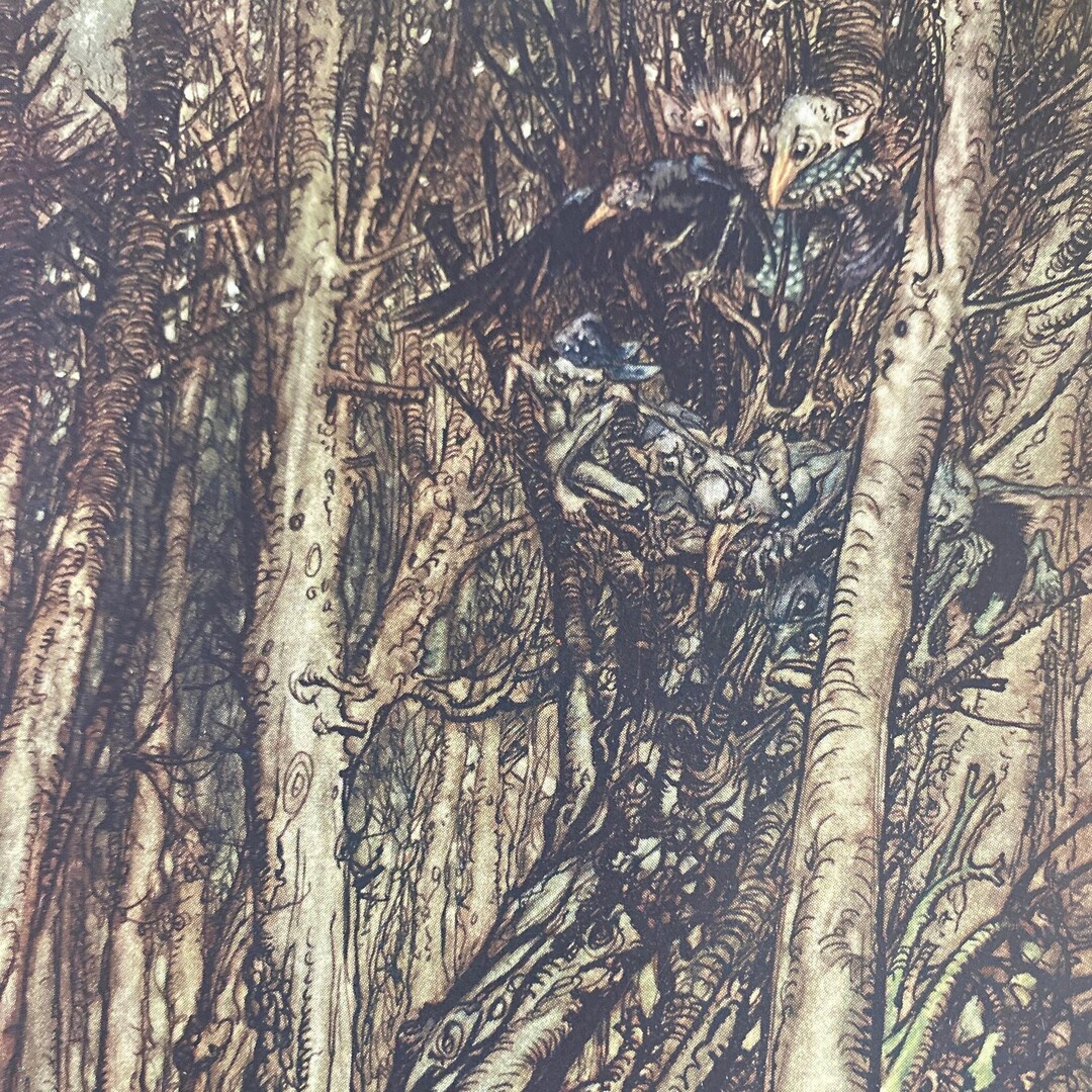 Arthur Rackham Undine Print, 1909 William Heinemann Edition - Etsy