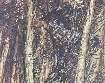 Undine Rare, Original Print Illustrated by Arthur Rackham: Source 1909 ...