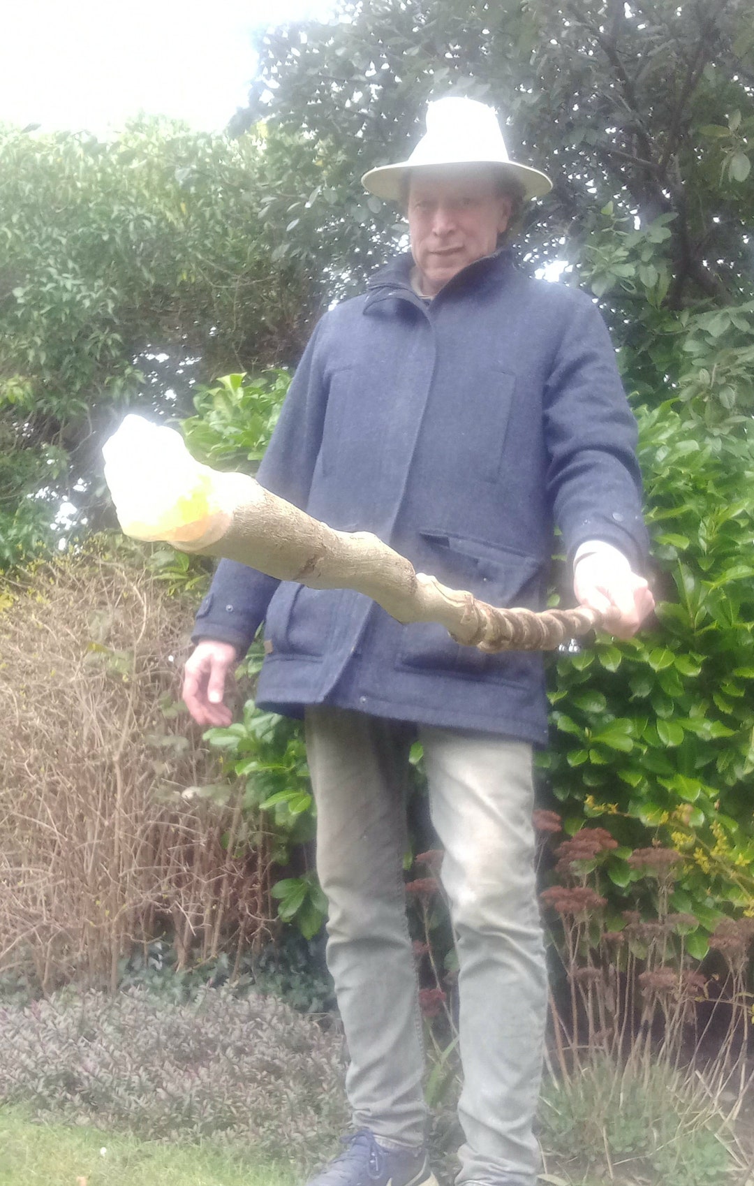 7.5 Spiral Hazel Staff With Two Citrines - Etsy