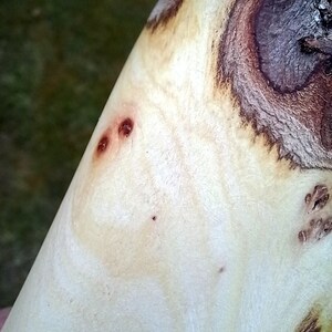 Lovely Twisted Hazel Hiking Staff With Aventurine - Etsy