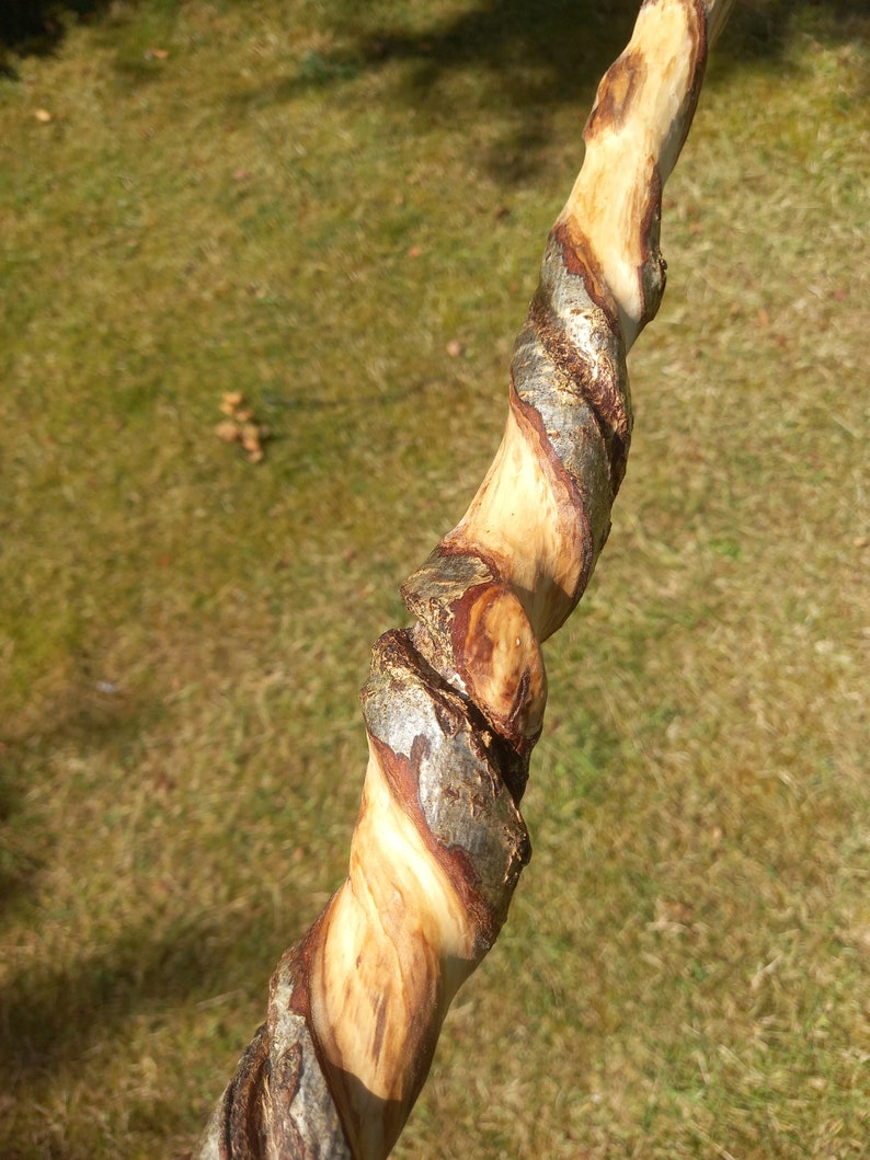 Multi Twsted Hazel Hiking Staff/ Ceremonial Staff - Etsy