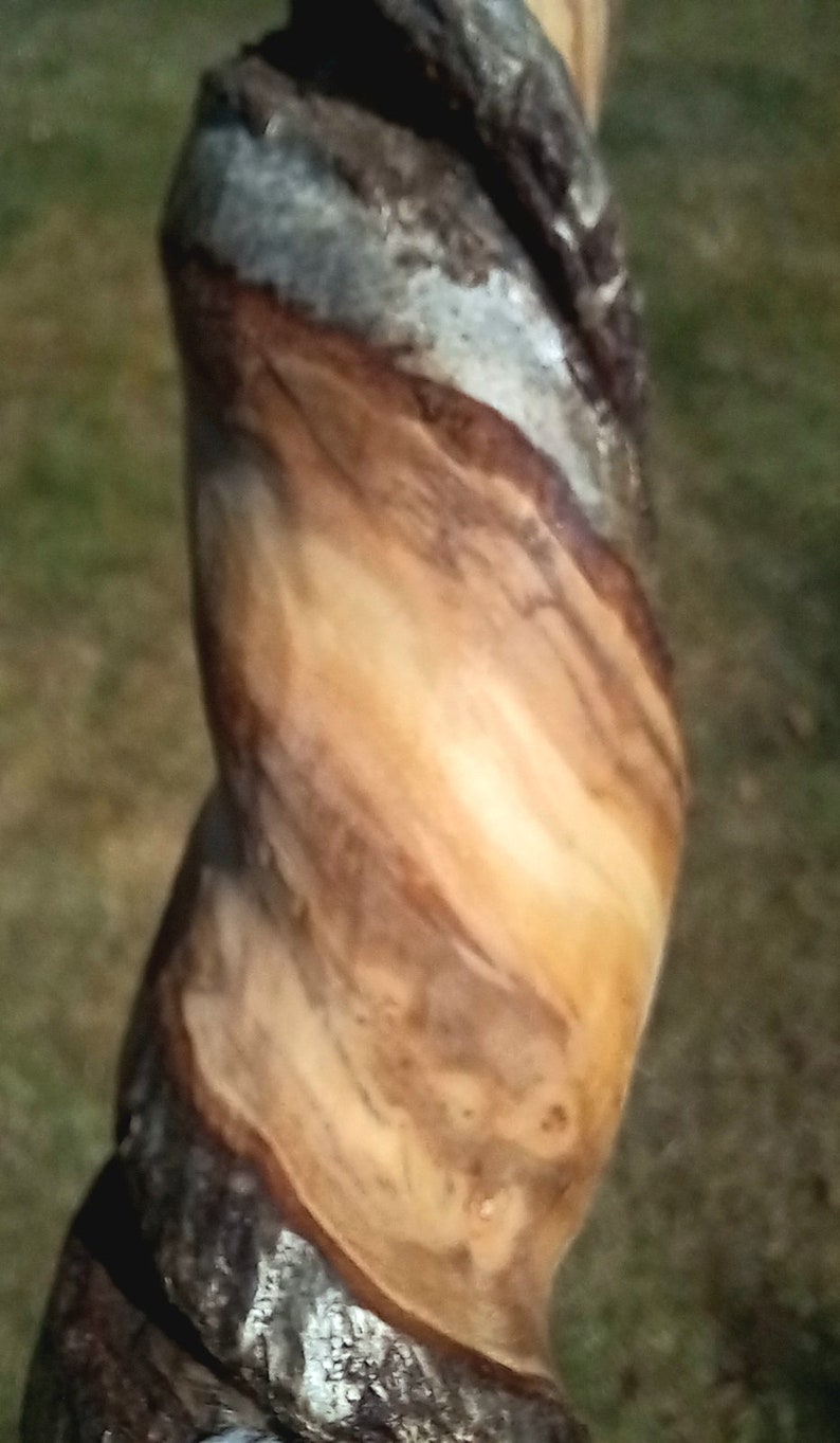 Multi Twsted Hazel Hiking Staff/ Ceremonial Staff - Etsy