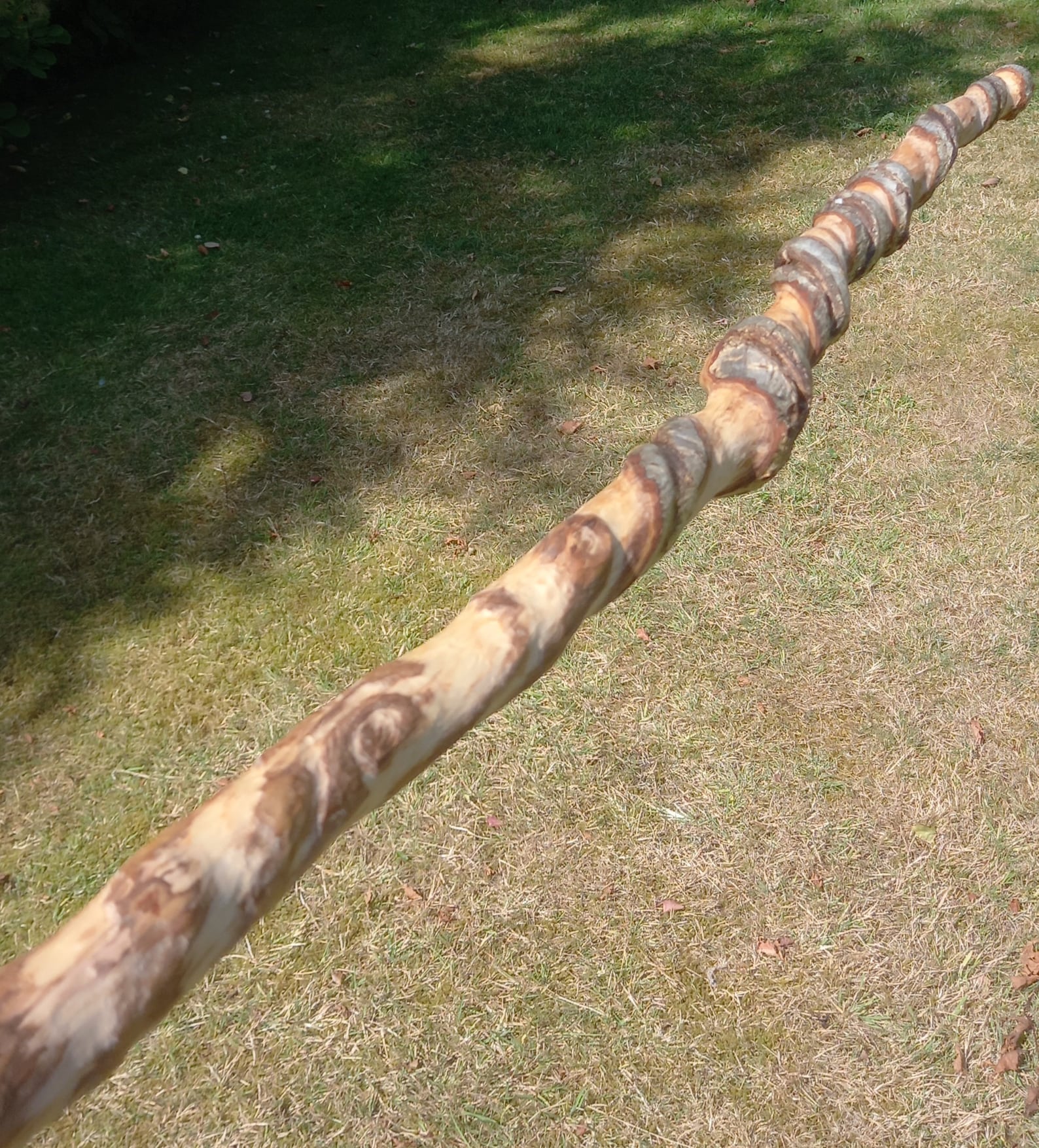Multi Twsted Hazel Hiking Staff/ Ceremonial Staff - Etsy