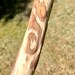 Multi Twsted Hazel Hiking Staff/ Ceremonial Staff - Etsy