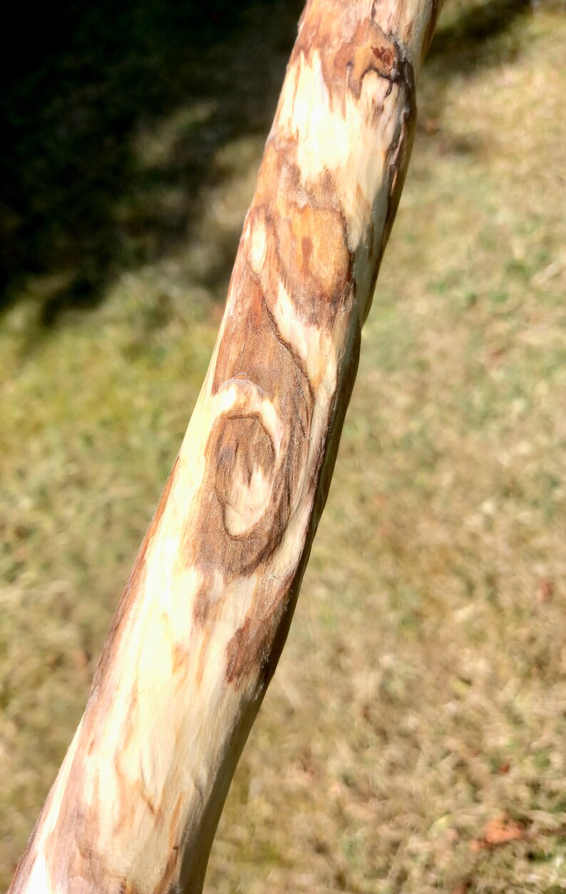 Multi Twsted Hazel Hiking Staff/ Ceremonial Staff - Etsy