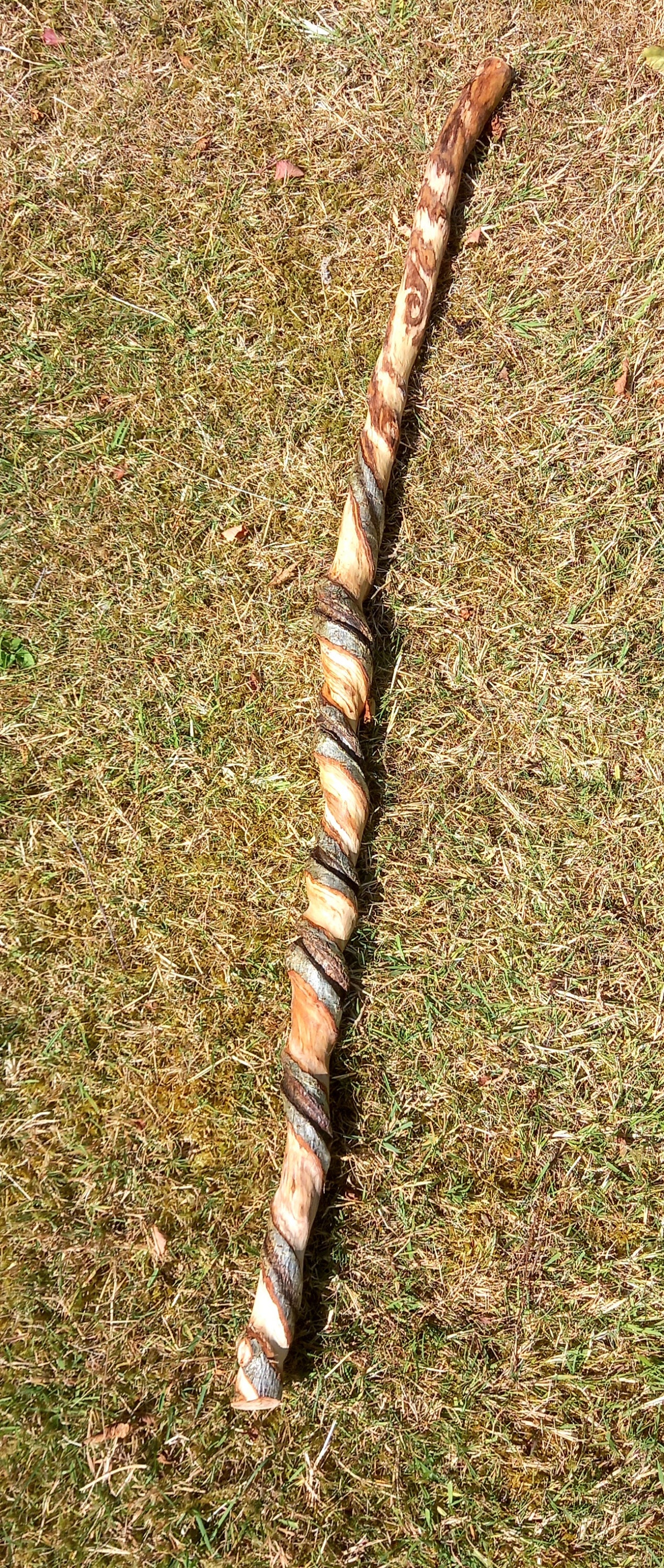 Multi Twsted Hazel Hiking Staff/ Ceremonial Staff - Etsy