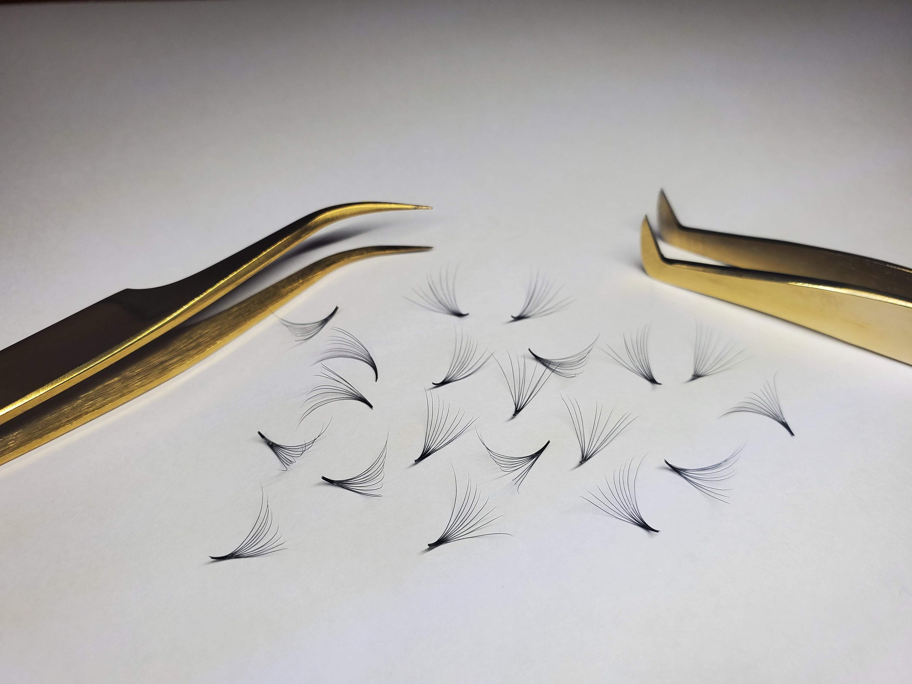 10D 1000 Premade Mega Volume loose Fans C and D Curl 0.05 by | Etsy