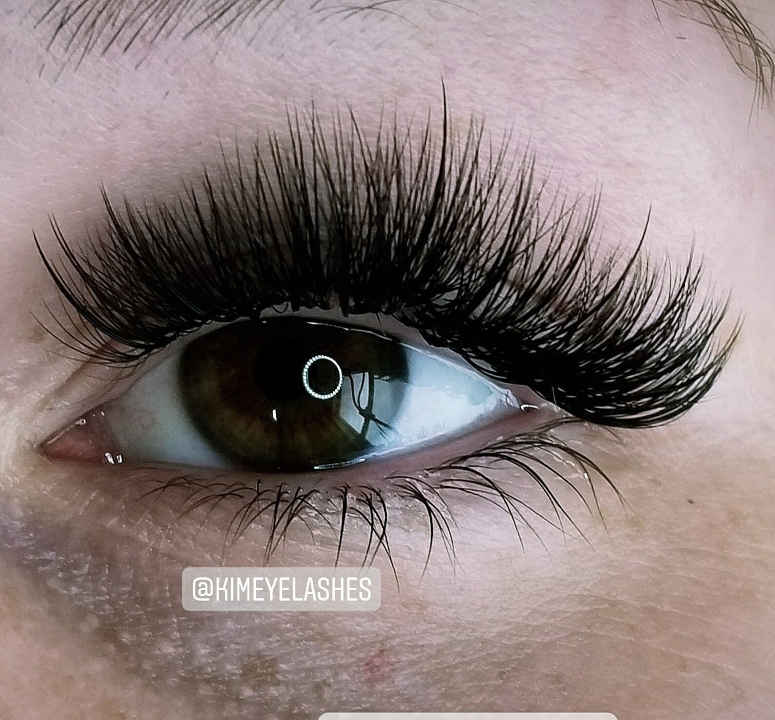 10D 1000 Premade Mega Volume loose Fans C and D Curl 0.05 by | Etsy