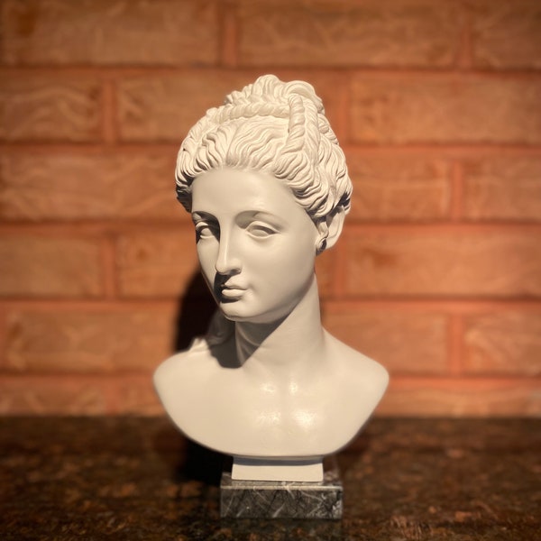 Bust - Etsy