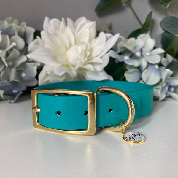 Turquoise Dog Collar - Etsy
