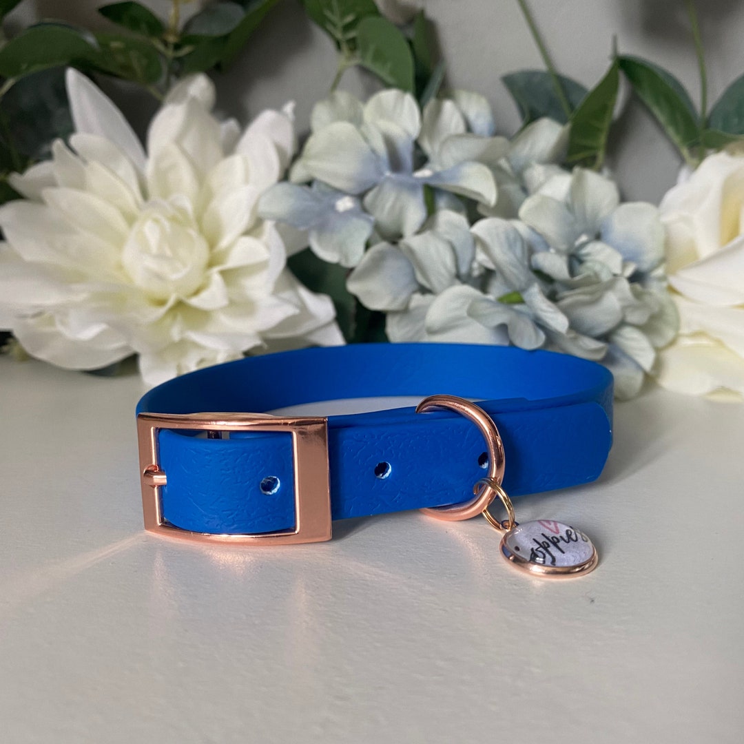 Royal Blue Waterproof Dog Collar - Rose Gold, Silver, Brass, Stainless ...