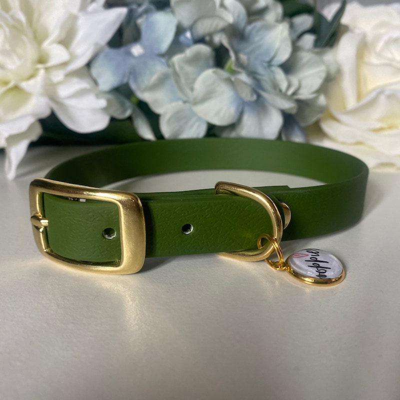 Green Dog Collar - Etsy
