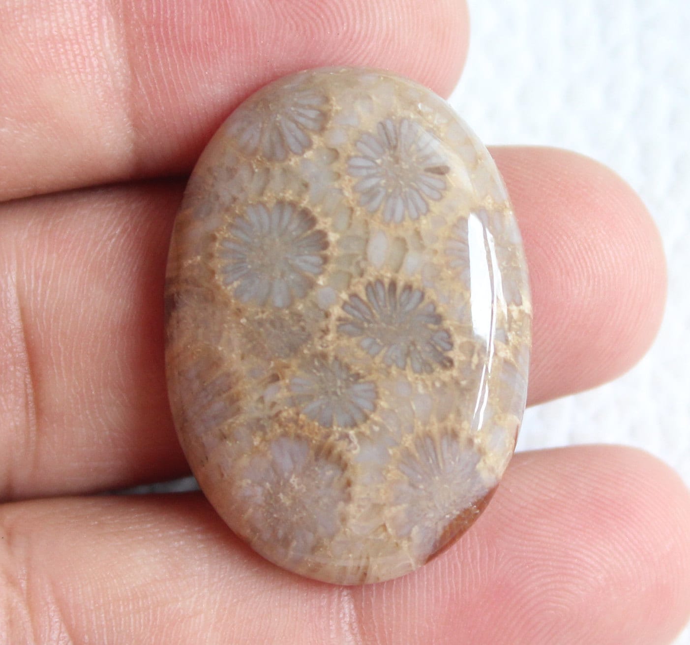 Gorgeous Natural Fossil Coral gemstone Natural Fossil Coral.40 | Etsy