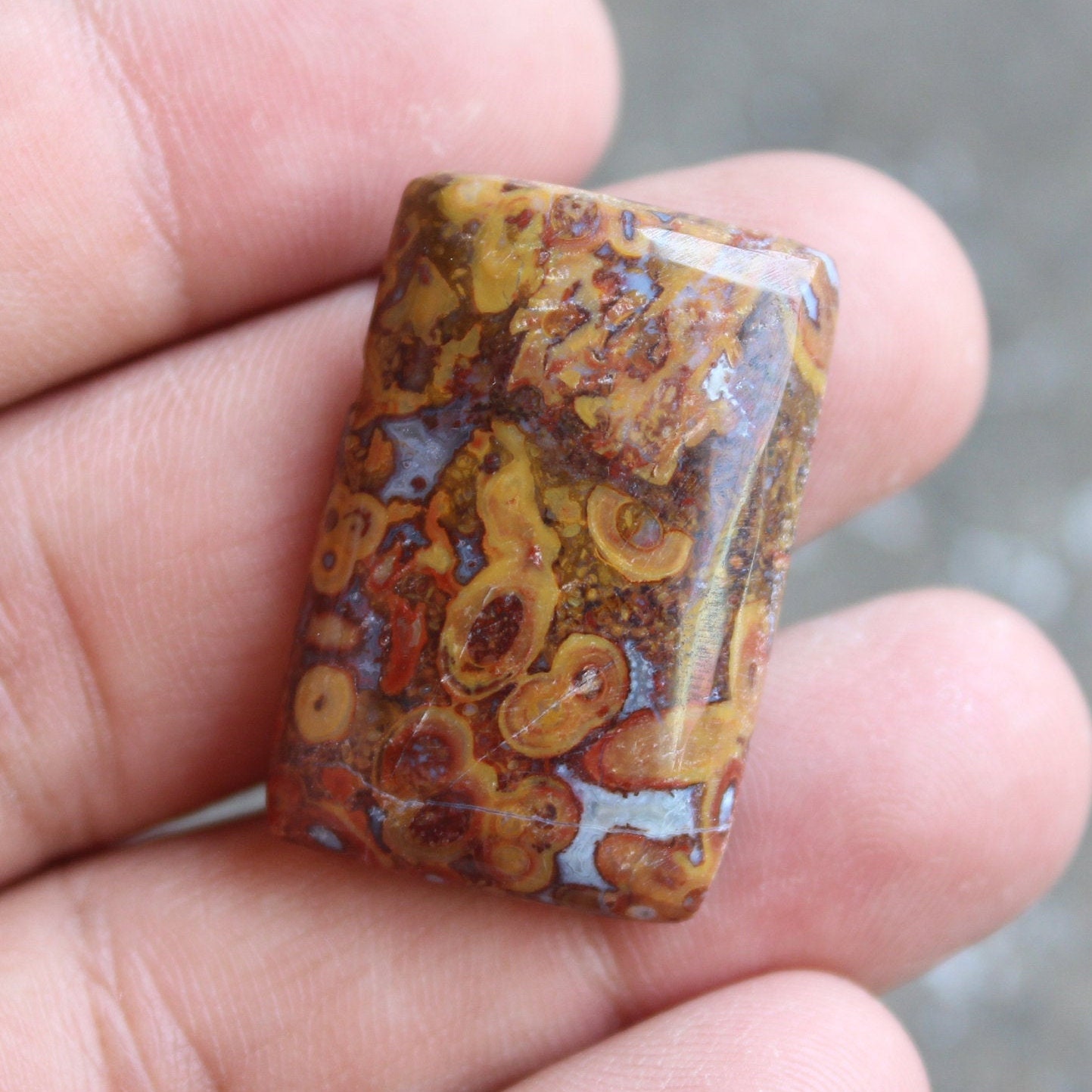 Ultimate Indonesian Red Petrified Palm Wood Cabochon | Etsy