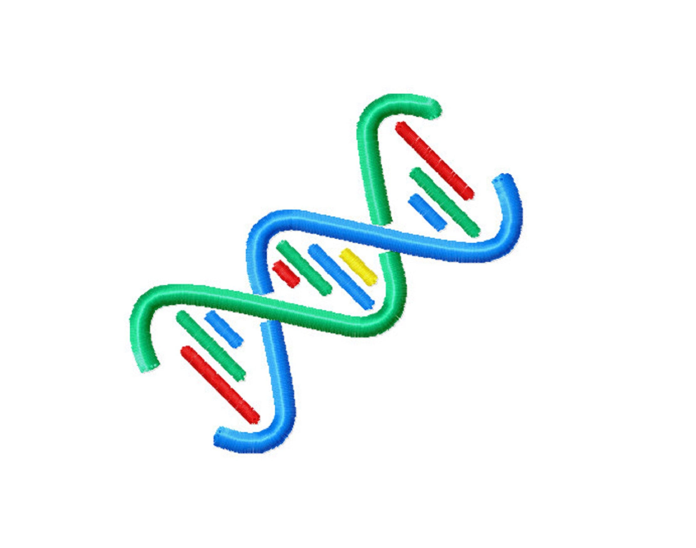 DNA Embroidery Design: Science Embroidery File (instant Download) - Etsy