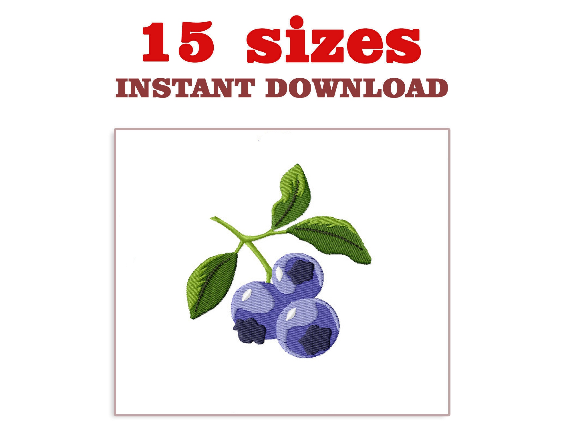 Blueberry Embroidery Design: Machine Embroidery File (digital Download ...