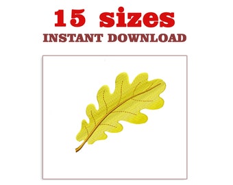 Oak Leaf Design - Etsy